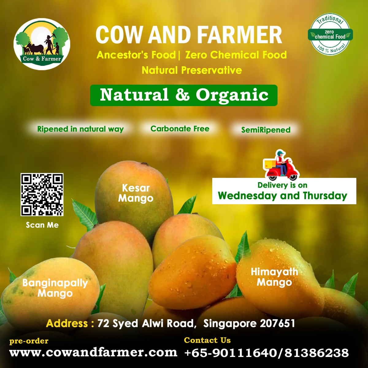 Finger Millet Whole (RAAGULU) 500 Grams – Cow and Farmer